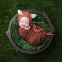 Contact Shannon Leigh Studios, Business & Creative Services in Winder ...